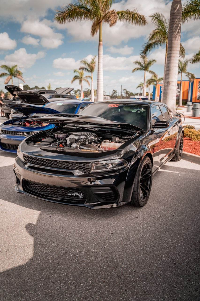 Daily Drivers Club – DDC